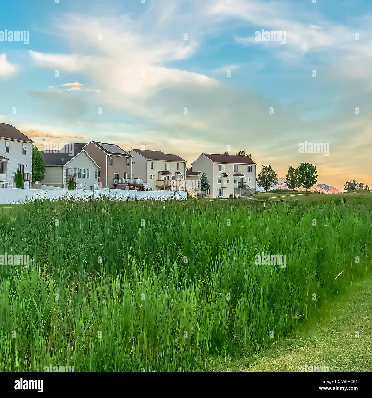 Expansive green lawn hi-res stock photography and images - Alamy