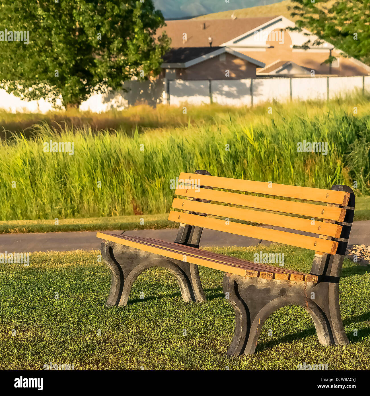 Square frame Empty outdoor park bench casting shadow on the grassy ...