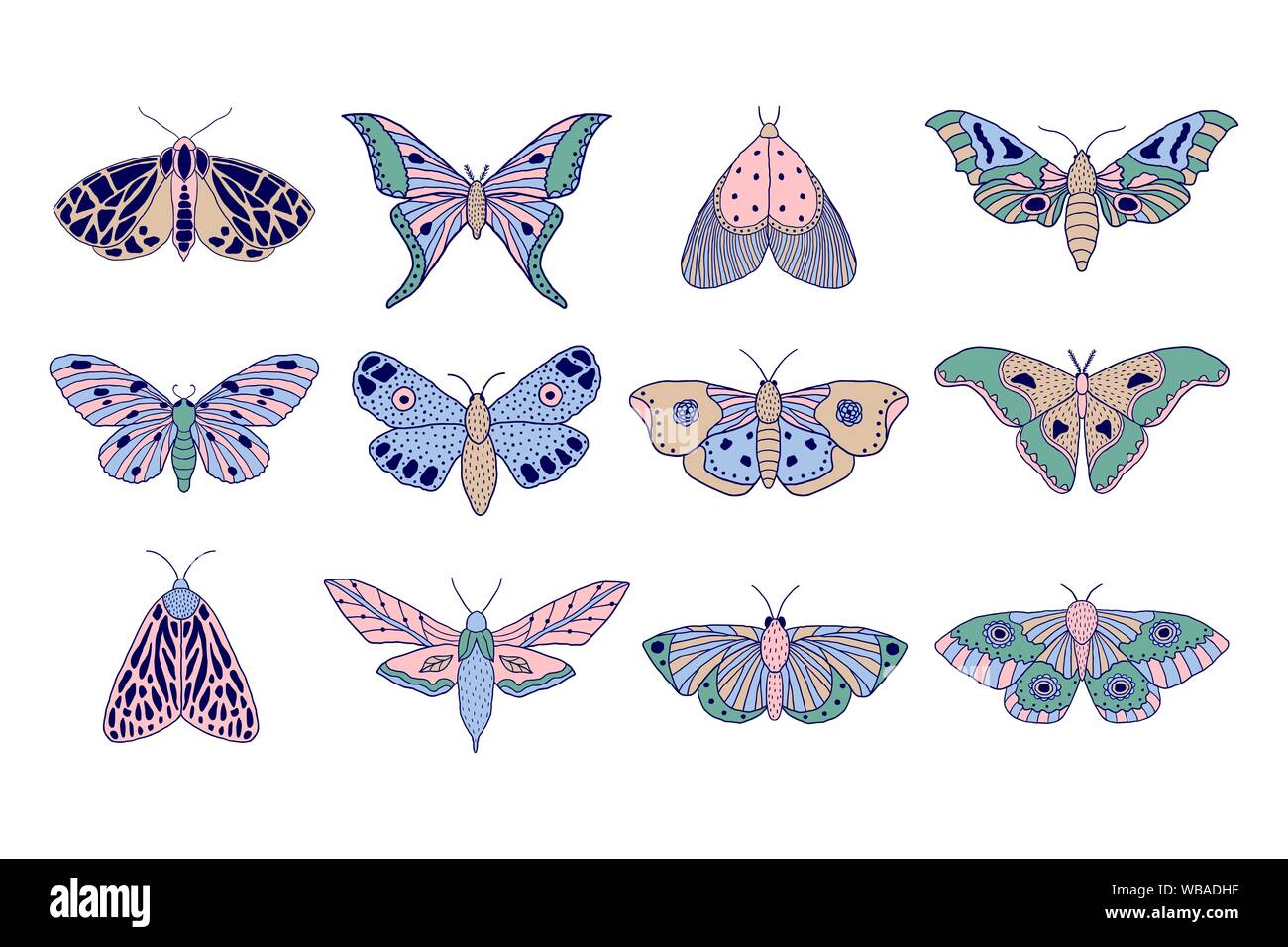 colorful moths and butterflies Stock Vector Image & Art - Alamy