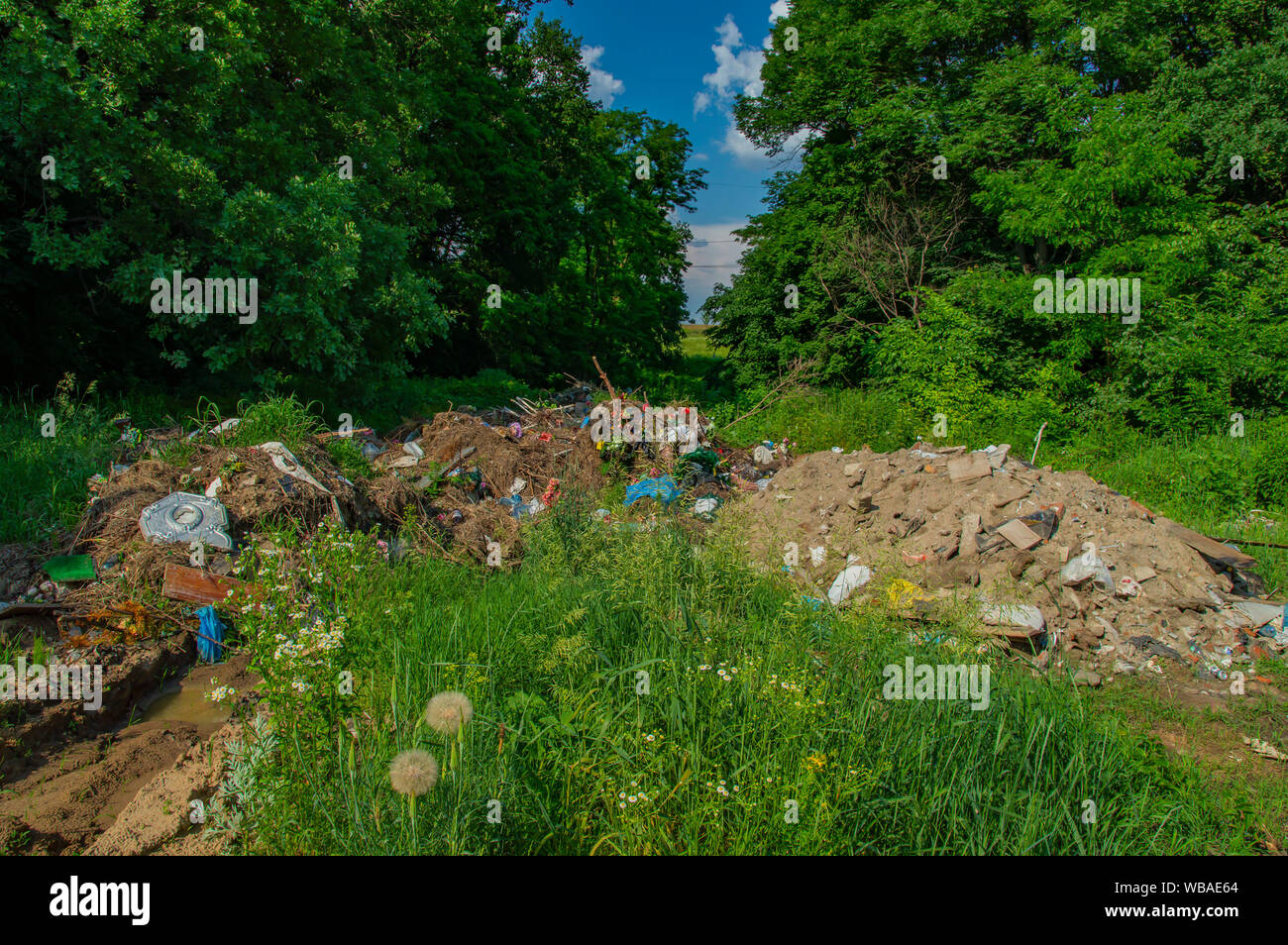 Elemental garbage dump on a green background of nature. Environment ...