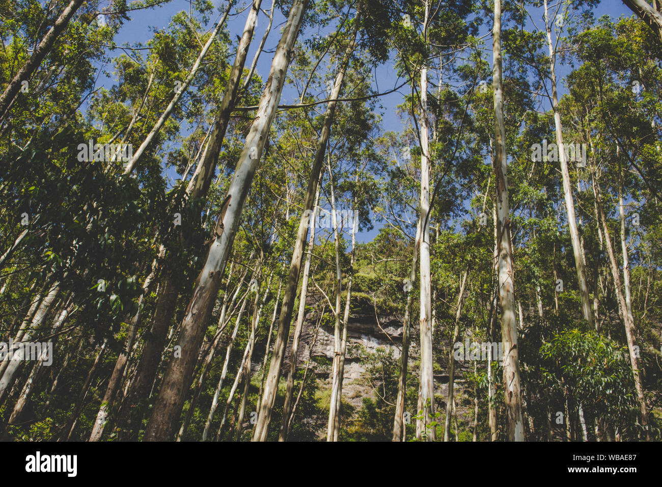 Beneath view hi-res stock photography and images - Alamy