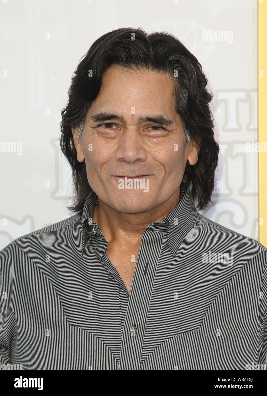 Los Angeles Premiere Of New HBO Series "The Righteous Gemstones ...