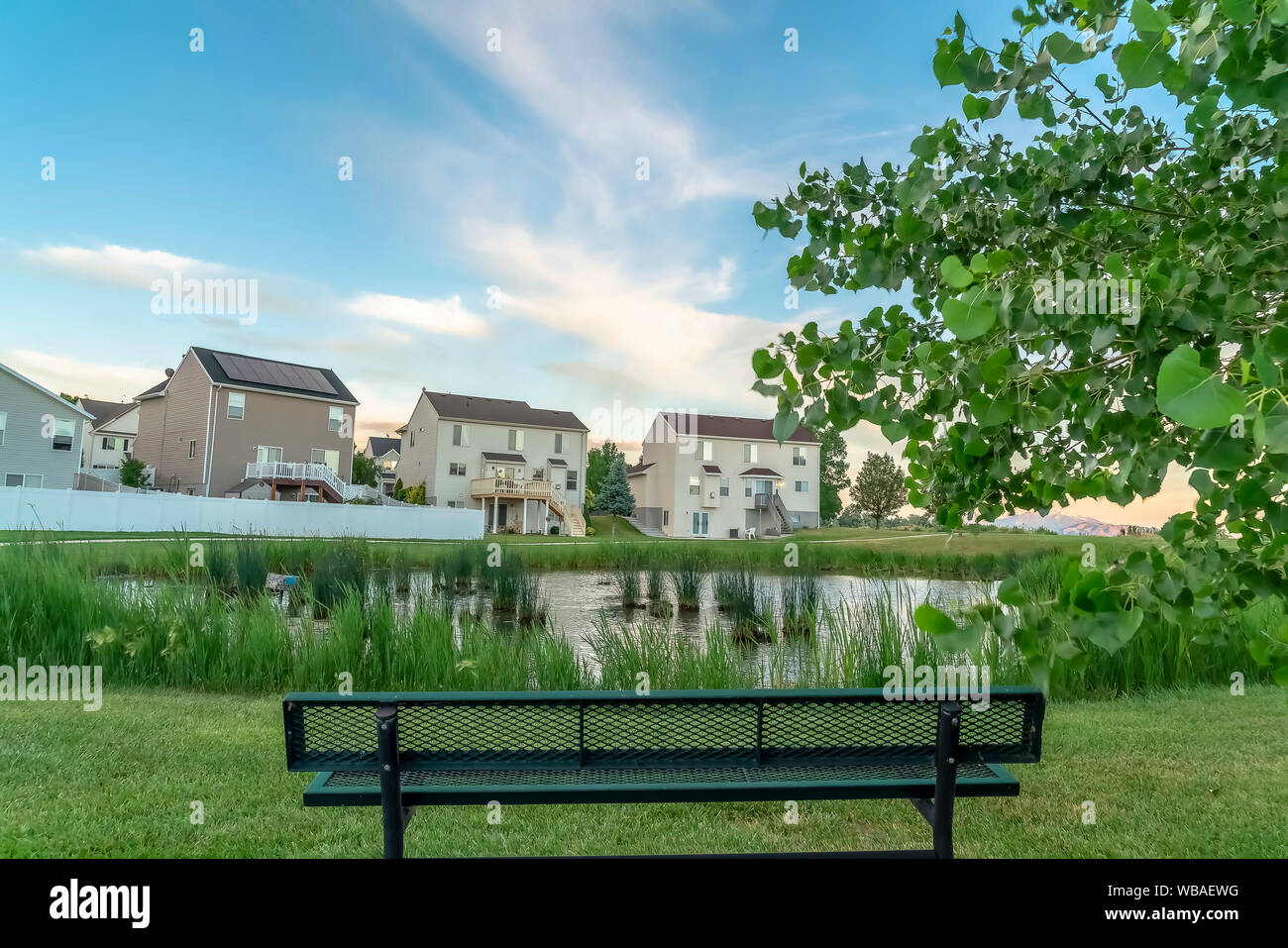 Empty green metal bench facing a shiny pond on a park under bright ...
