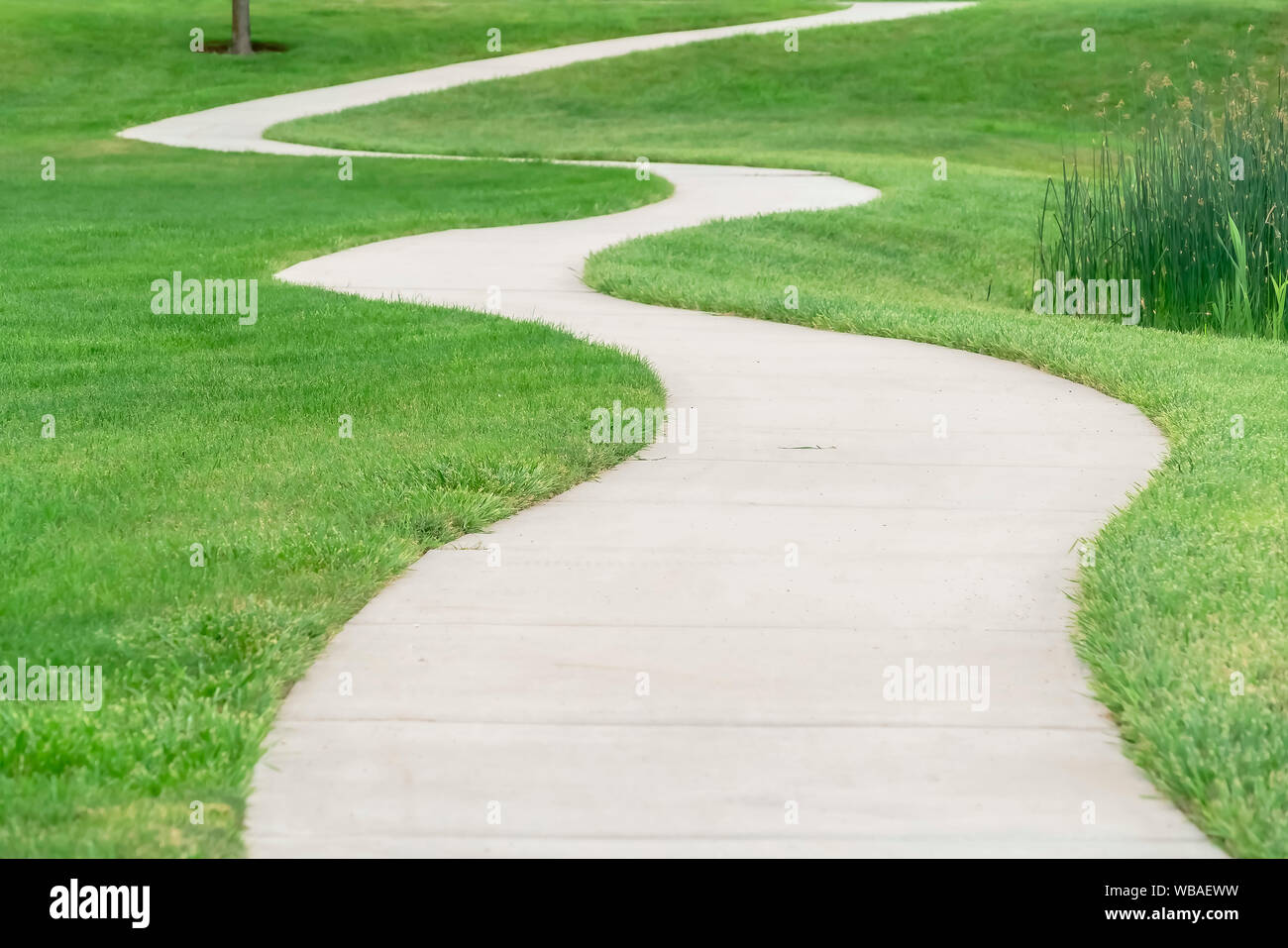 Outdoor scenery with a pathway winding through a terrain covered with ...