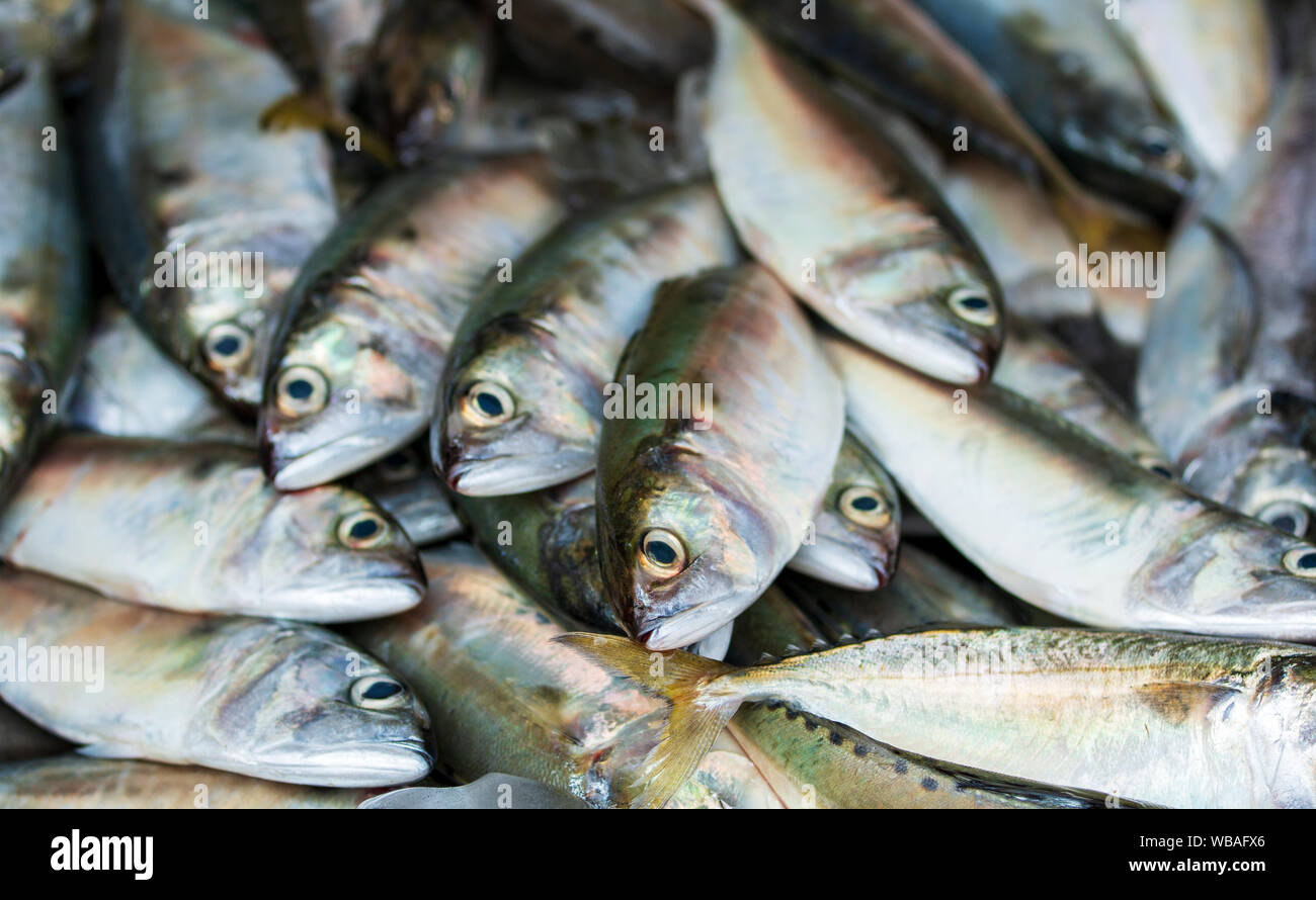Asian local cuisine blue tray hi-res stock photography and images - Alamy