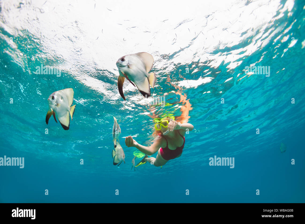 Underwater activities fish hi-res stock photography and images - Alamy