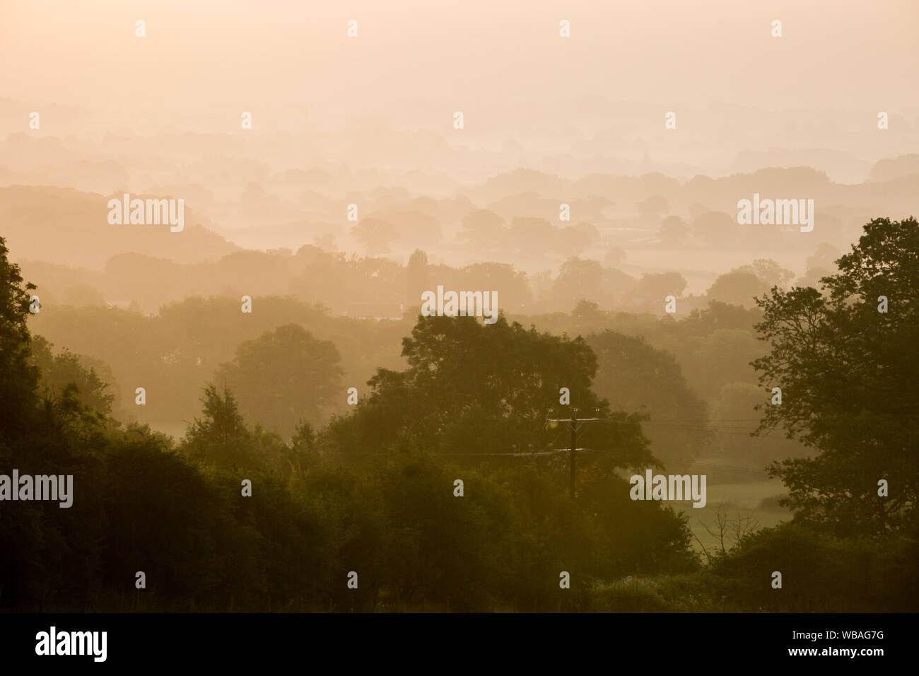 Early morning mist at dawn in the countryside, UK Stock Photo - Alamy