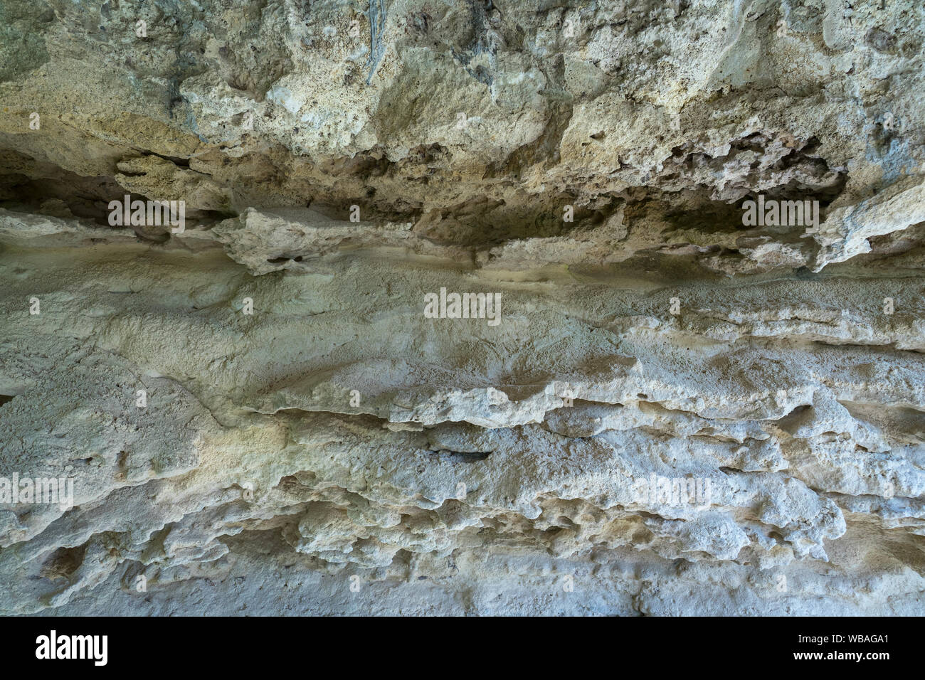 Sandstone. The structure of natural stone. Natural erosion. Background ...