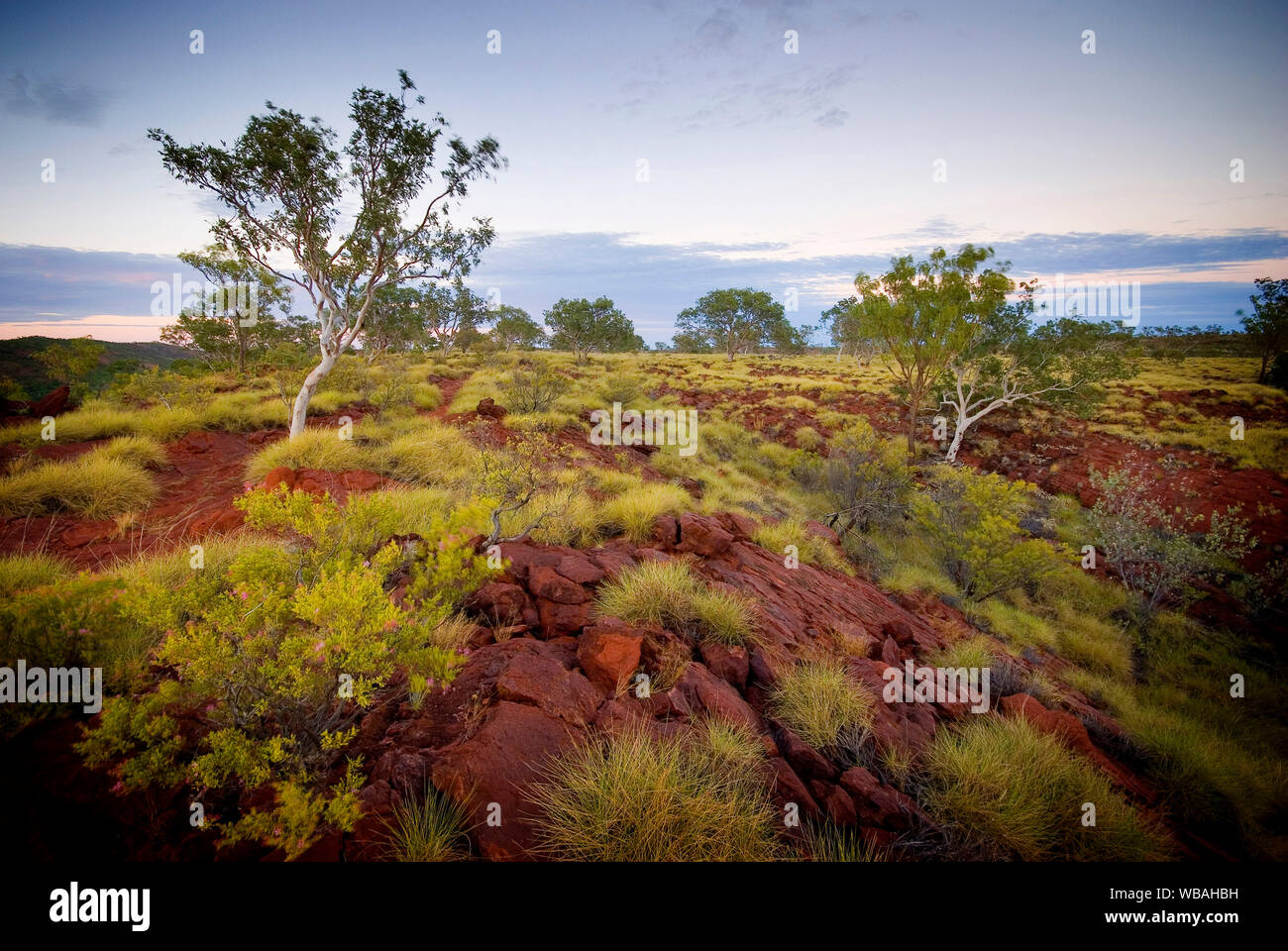 Remote sparse australia outback hi-res stock photography and images - Alamy