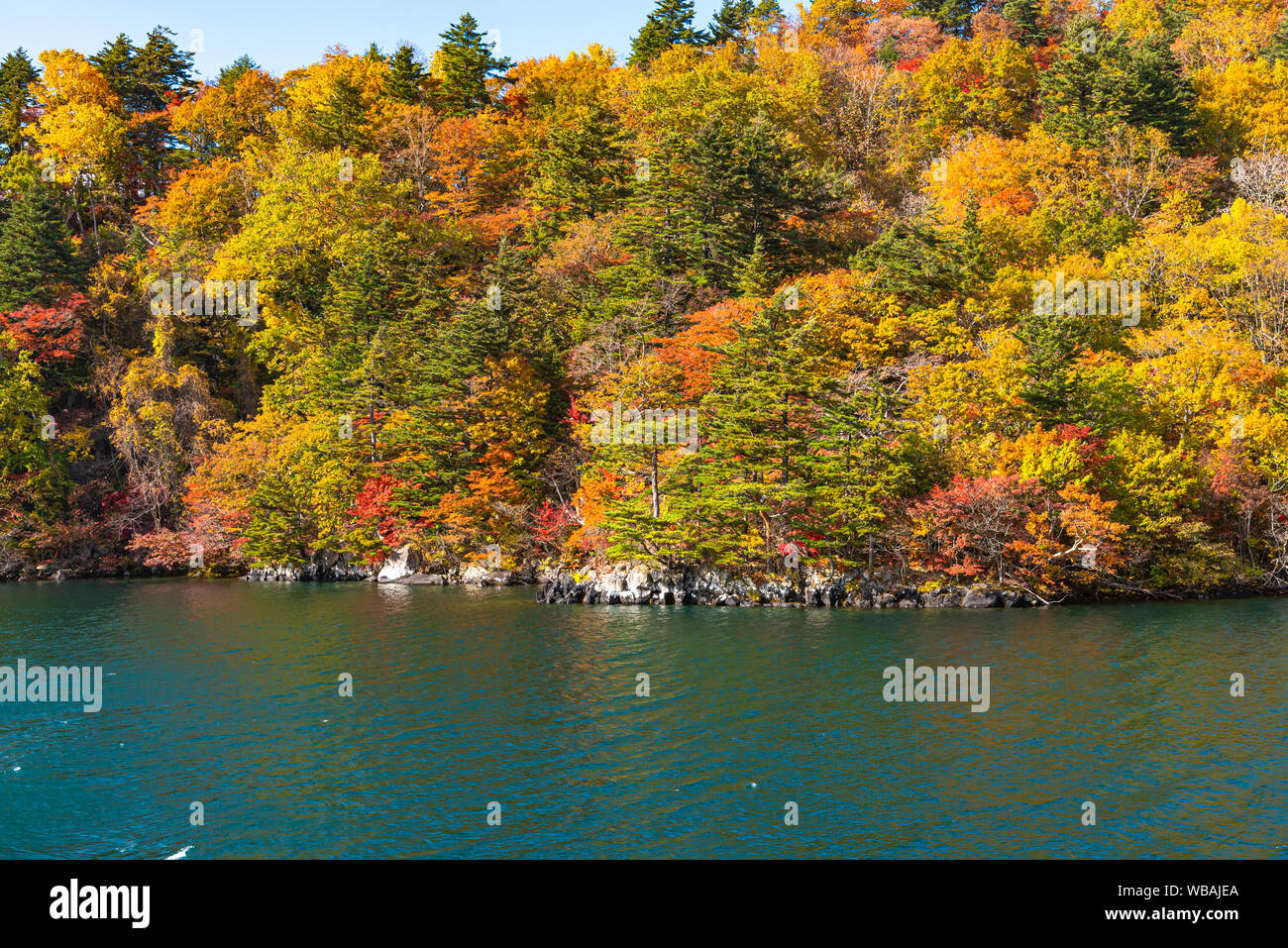 Beautiful autumn foliage scenery landscapes. Fall is full of ...