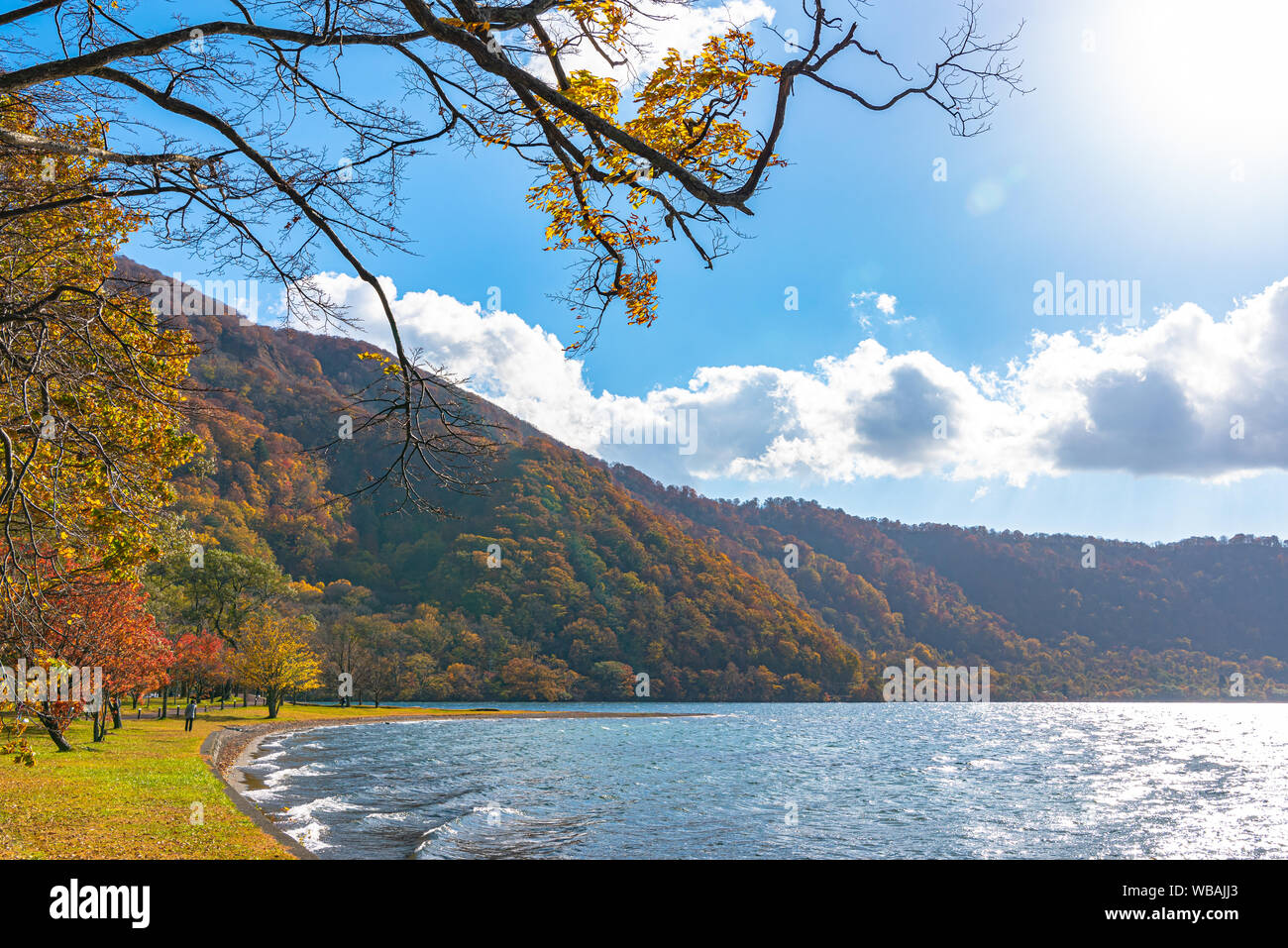 Beautiful autumn foliage scenery landscapes. Fall is full of ...