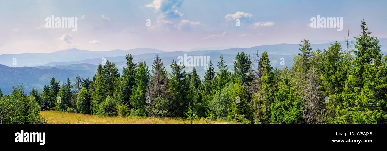 Bright mountain carpathians panorama hi-res stock photography and ...