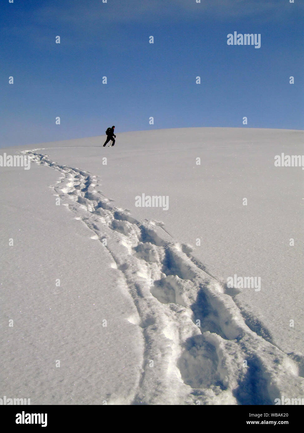 Trail of footprints behind them hi-res stock photography and images - Alamy