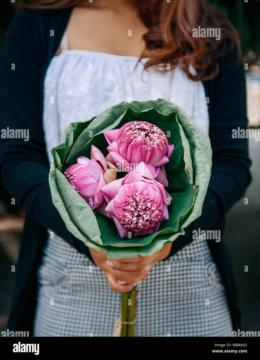 Hands holding lotus flower hi-res stock photography and images - Alamy