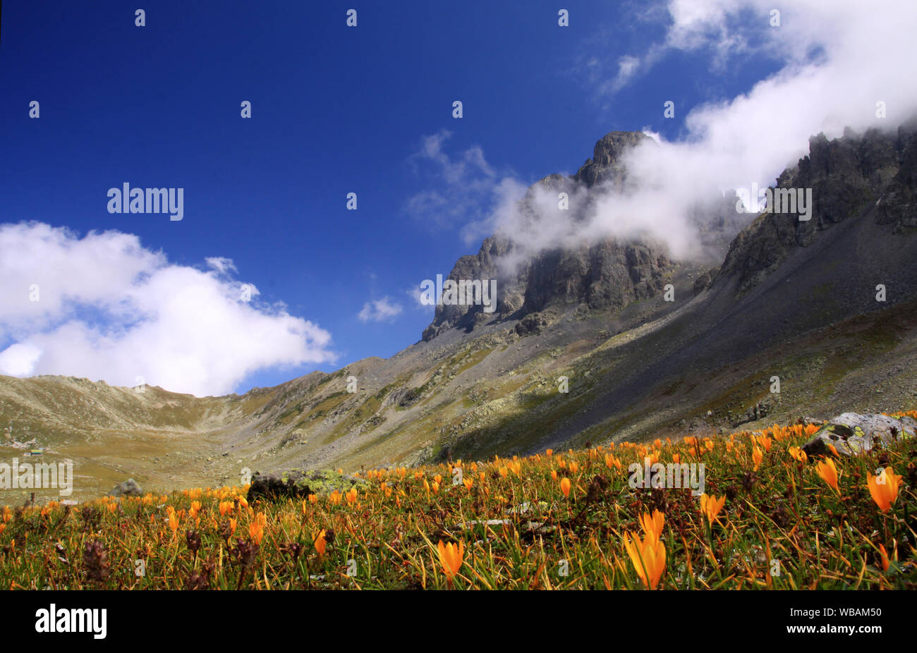 Colourful Mountain in rize turkey Stock Photo - Alamy