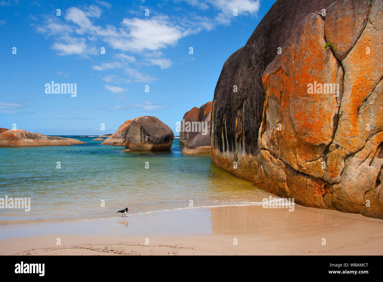 Elephant Cove and Elephant Rocks, William Bay National Park, near ...