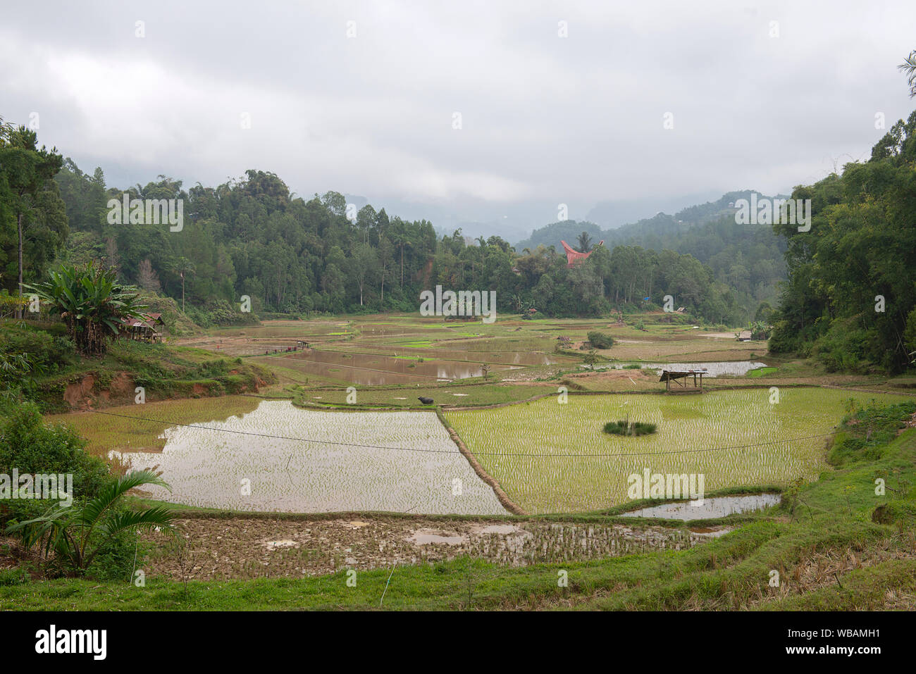 Destination alang hi-res stock photography and images - Alamy