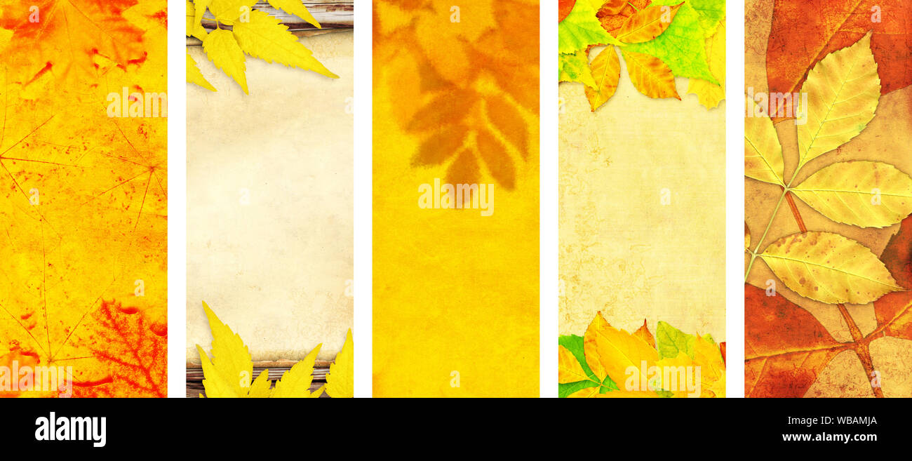 Set of vertical or horizontal autumn banners. Collection of seasonal ...