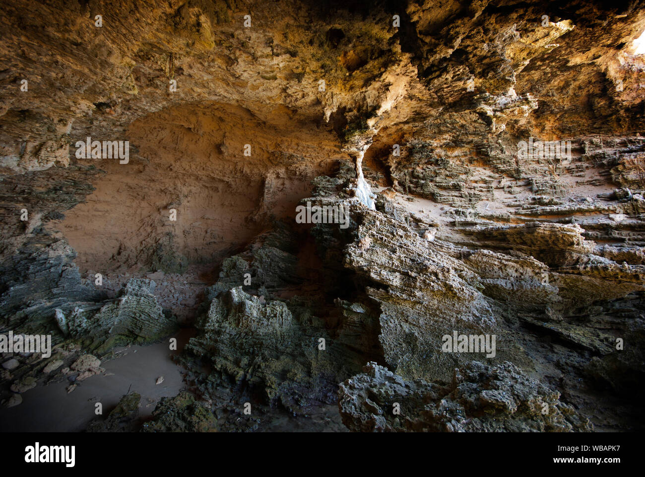 Breeding cave hi-res stock photography and images - Alamy
