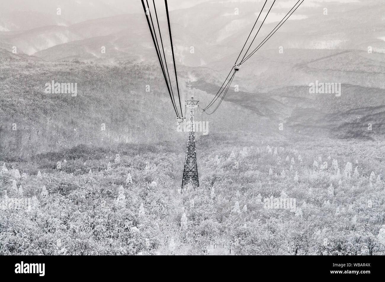 Aerial lift pylon erected from snow covered pine forest in Mt. Hakkoda ...