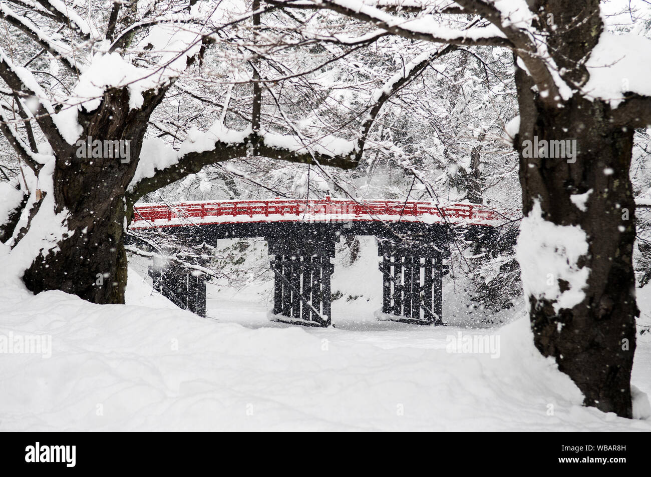 Old red wooden bridge of Hirosaki Castle during snow fall in winter ...
