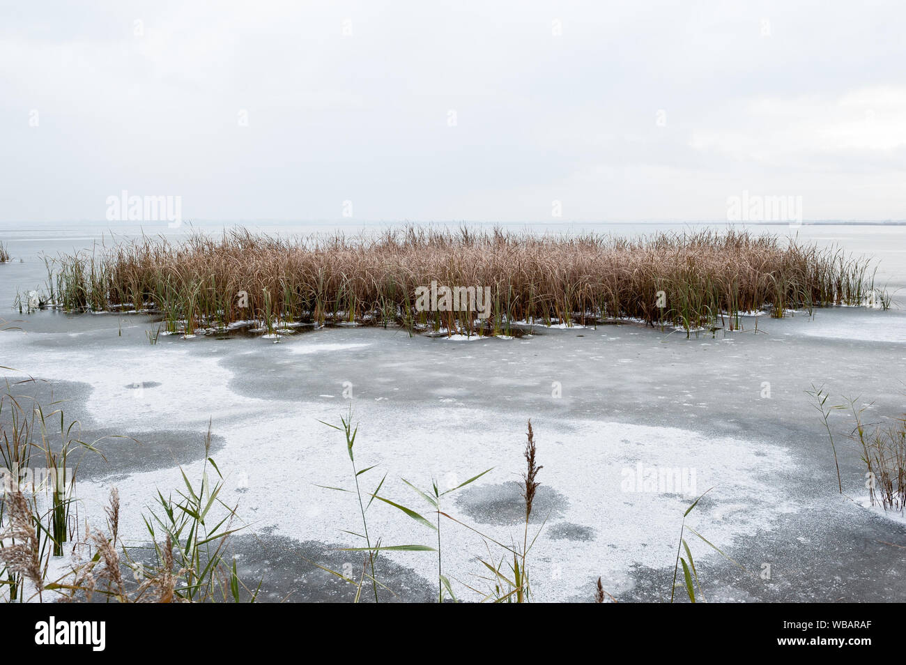 Resko lake hi-res stock photography and images - Alamy