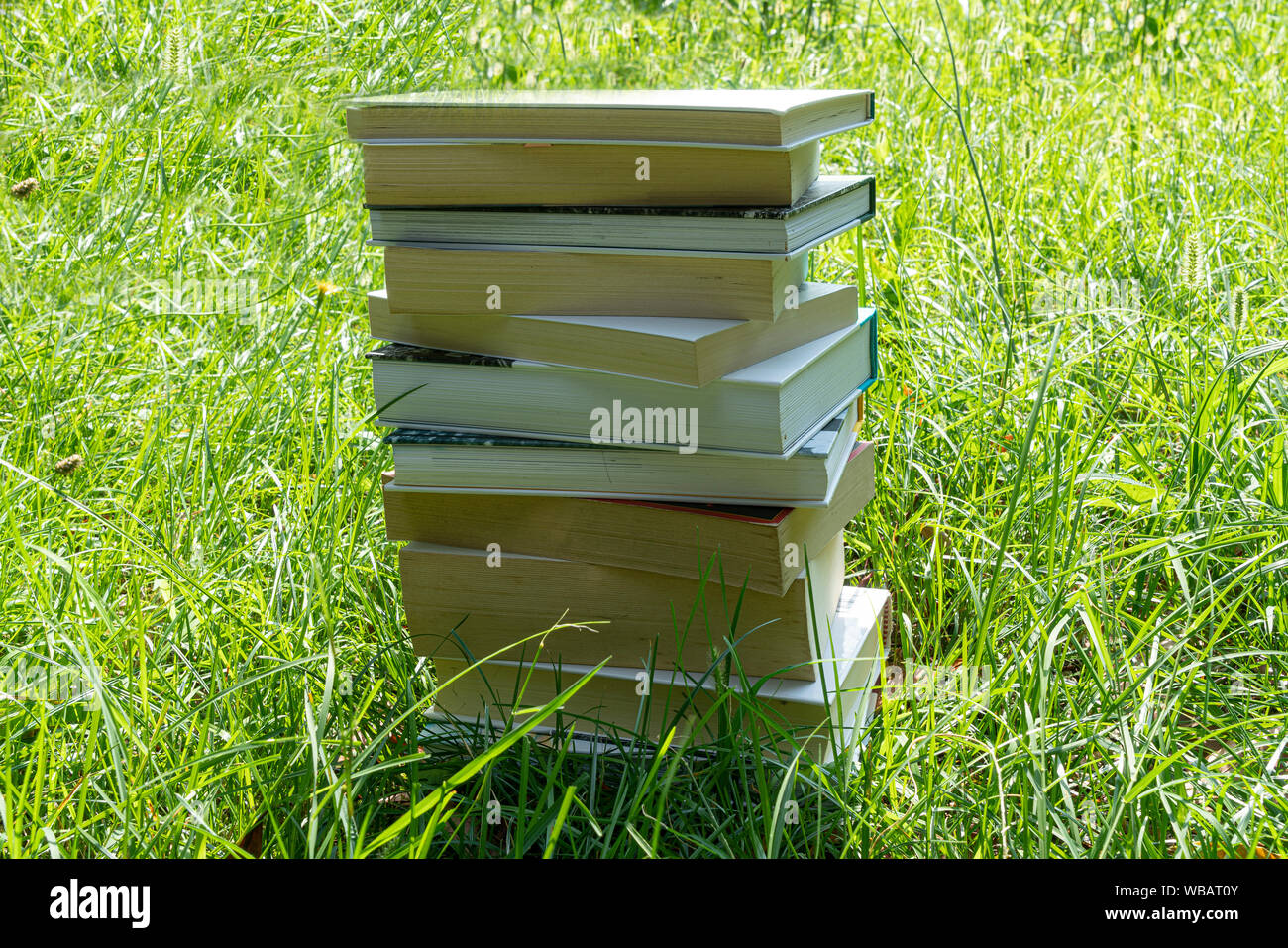 Nature Book Stack Workman Publishing | Happy Earth Day! No Better Time