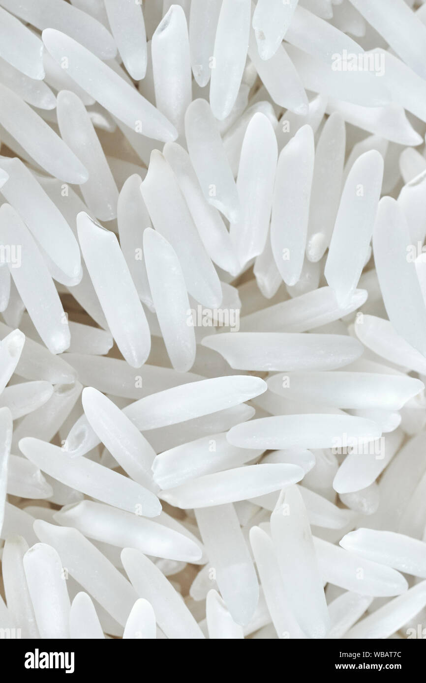 Rice grains white background hi-res stock photography and images - Alamy