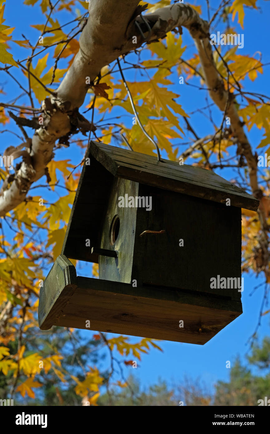 Old wooden nest box hi-res stock photography and images - Alamy