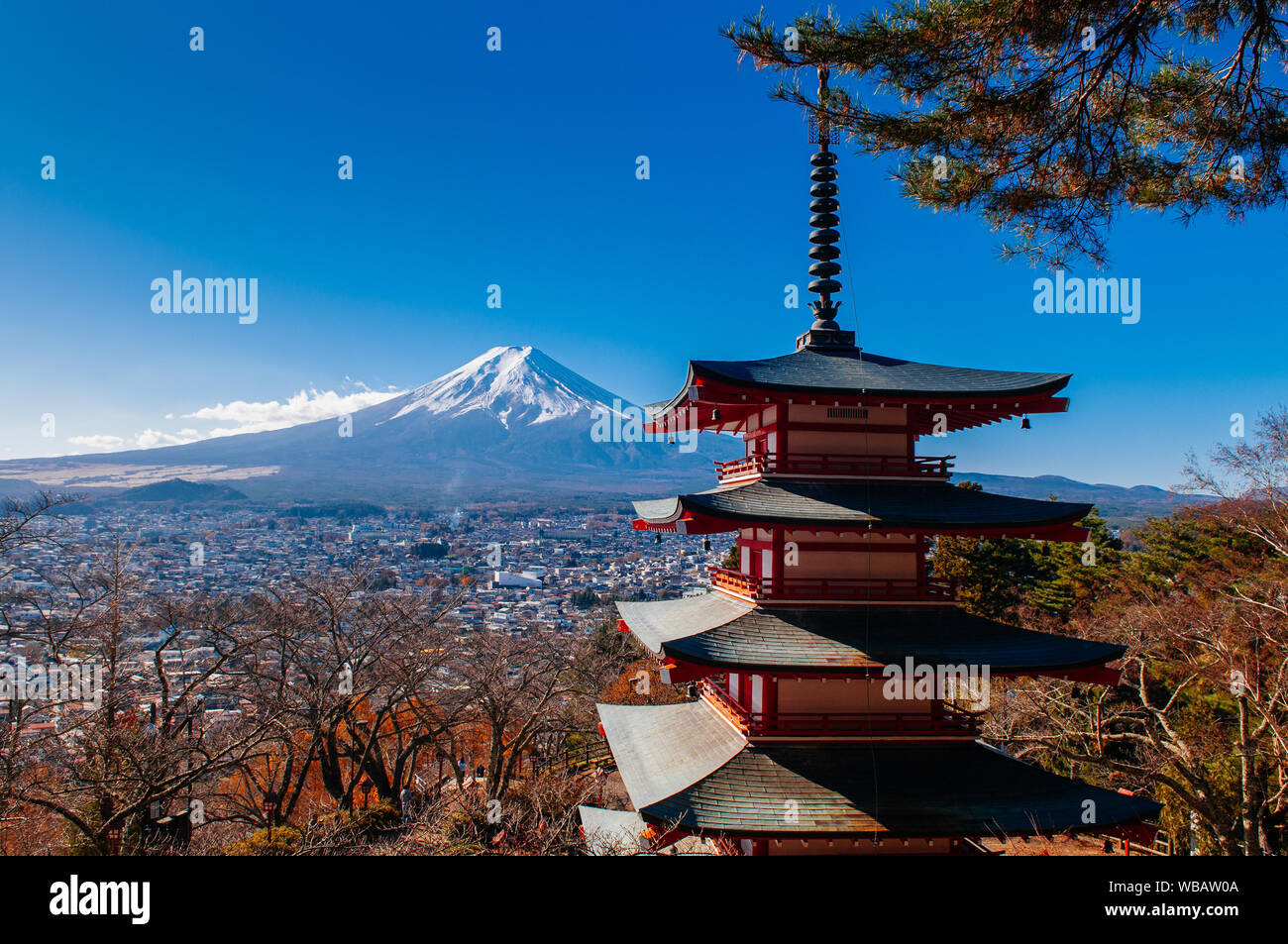Red Chureito Pagoda and Snow covered Mount Fuji blue sky in autumn ...