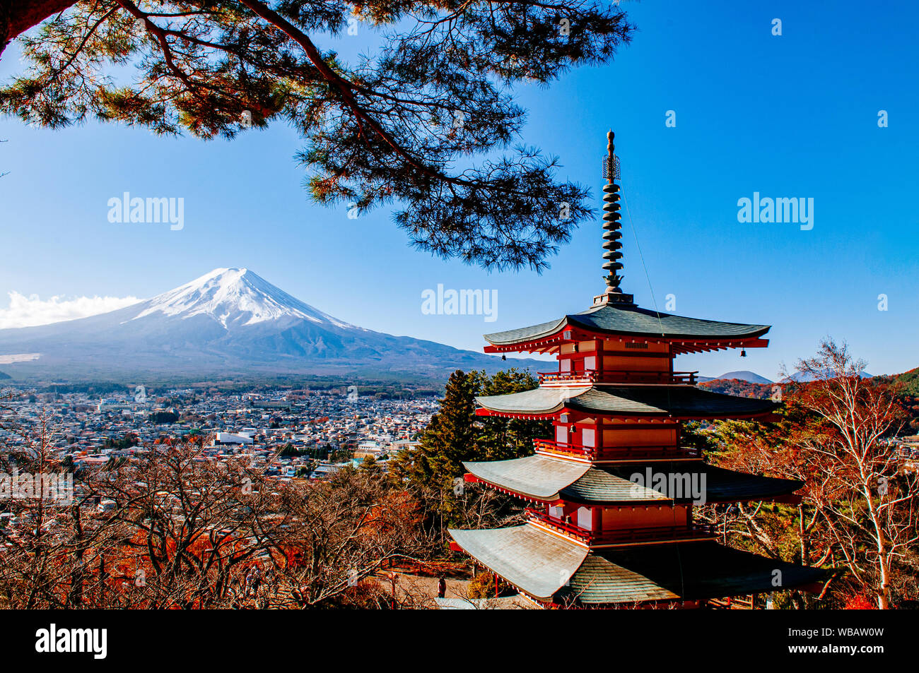 Red Chureito Pagoda and Snow covered Mount Fuji blue sky in autumn ...