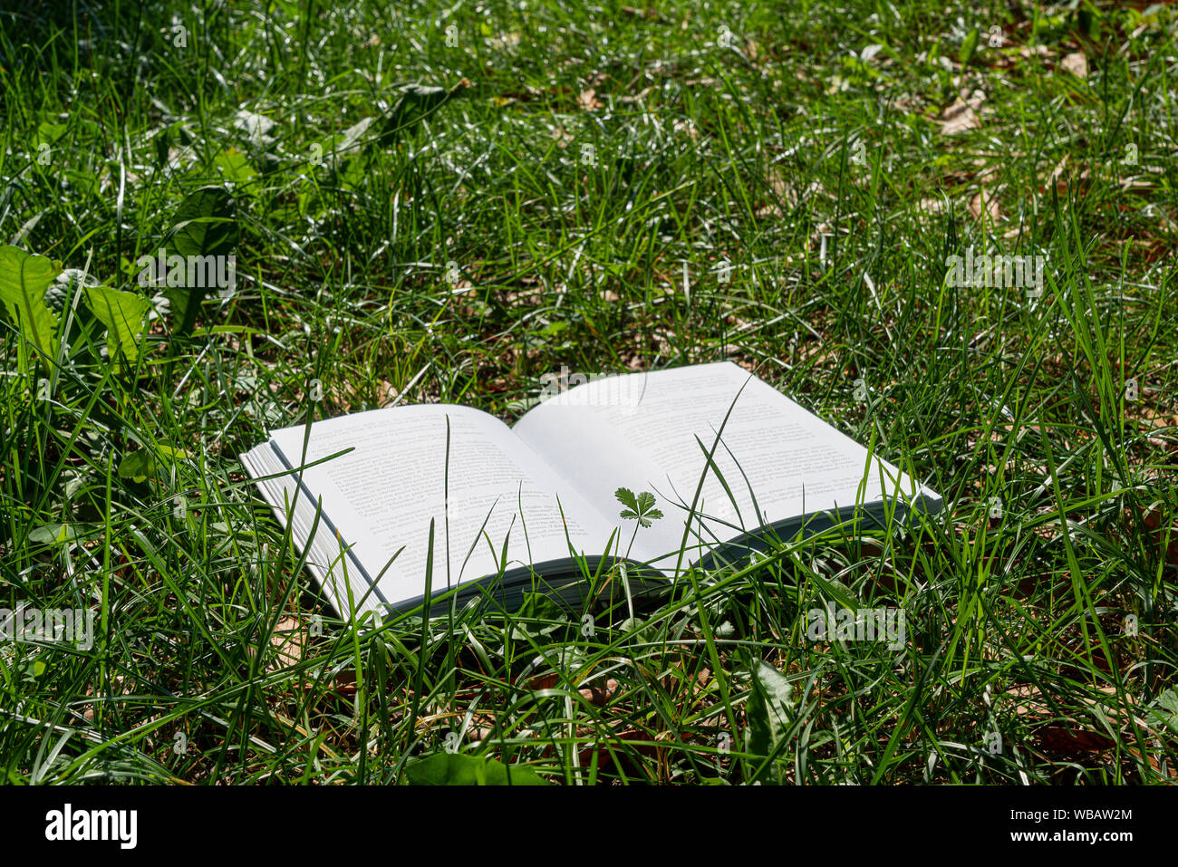 Book summer grass hi-res stock photography and images - Alamy