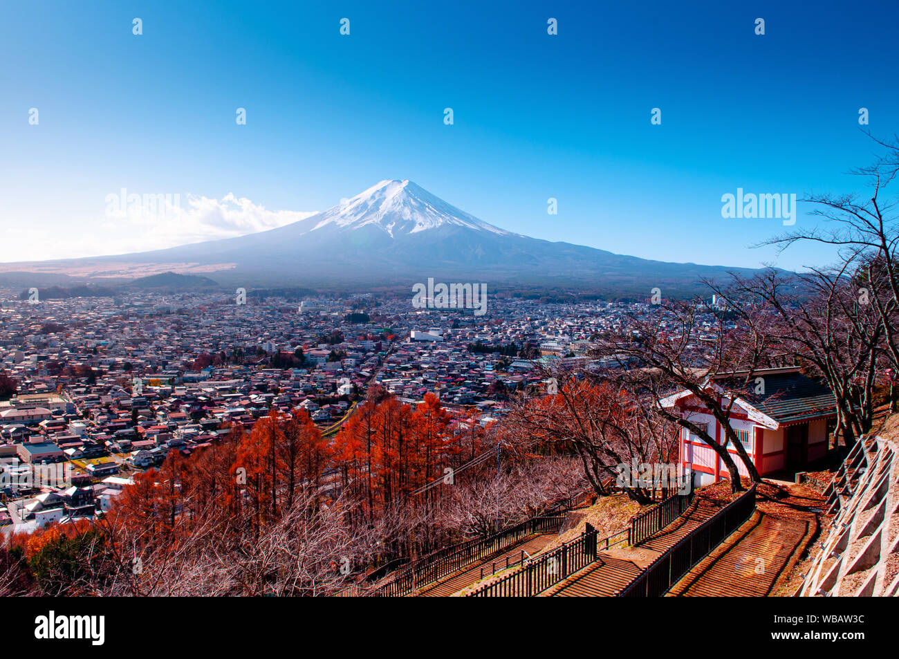 Mount Fuji with snow and blue sky sun flare, colourful autumn tree with ...