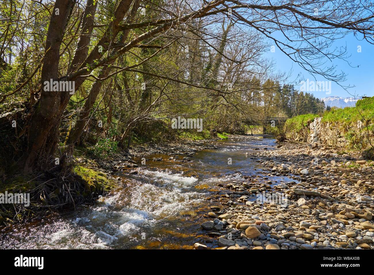 Idiazabal hi-res stock photography and images - Alamy