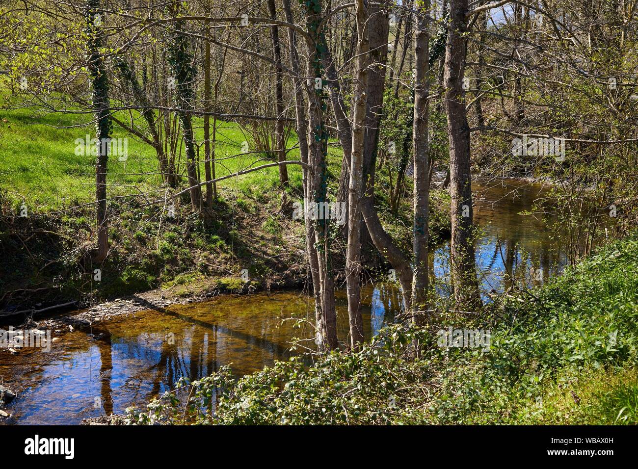 Oria hi-res stock photography and images - Alamy