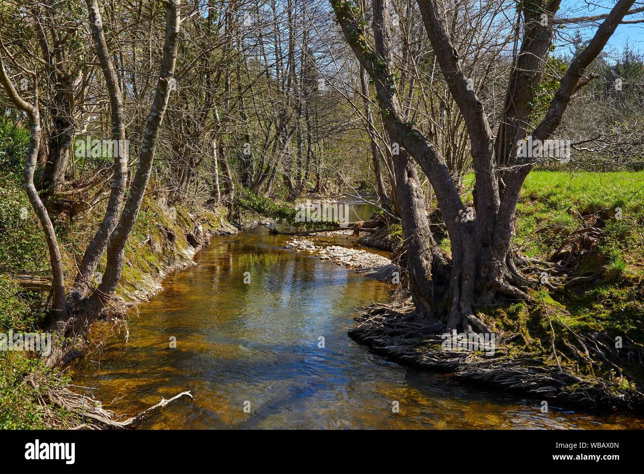 Oria hi-res stock photography and images - Alamy