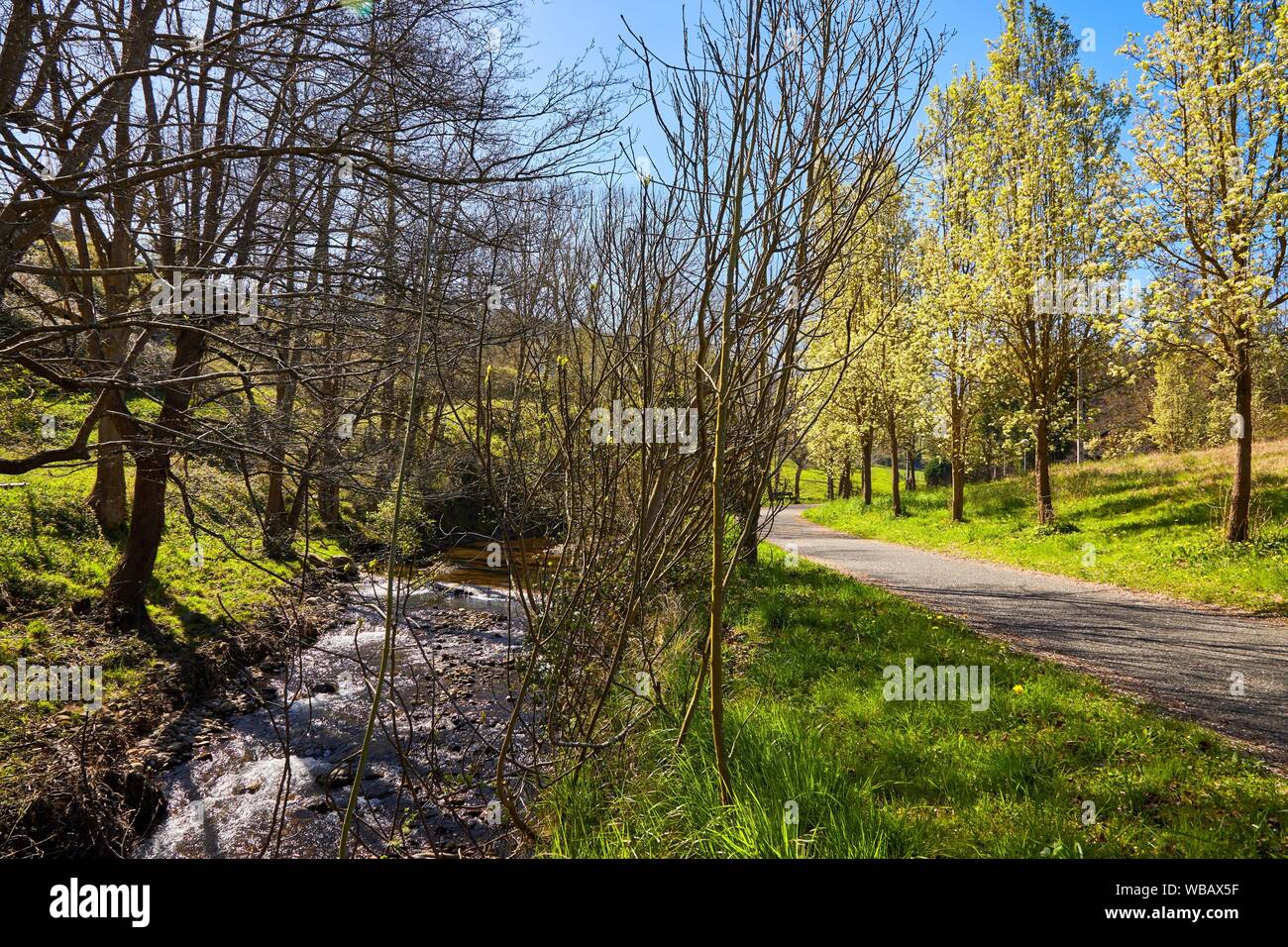 Oria hi-res stock photography and images - Alamy