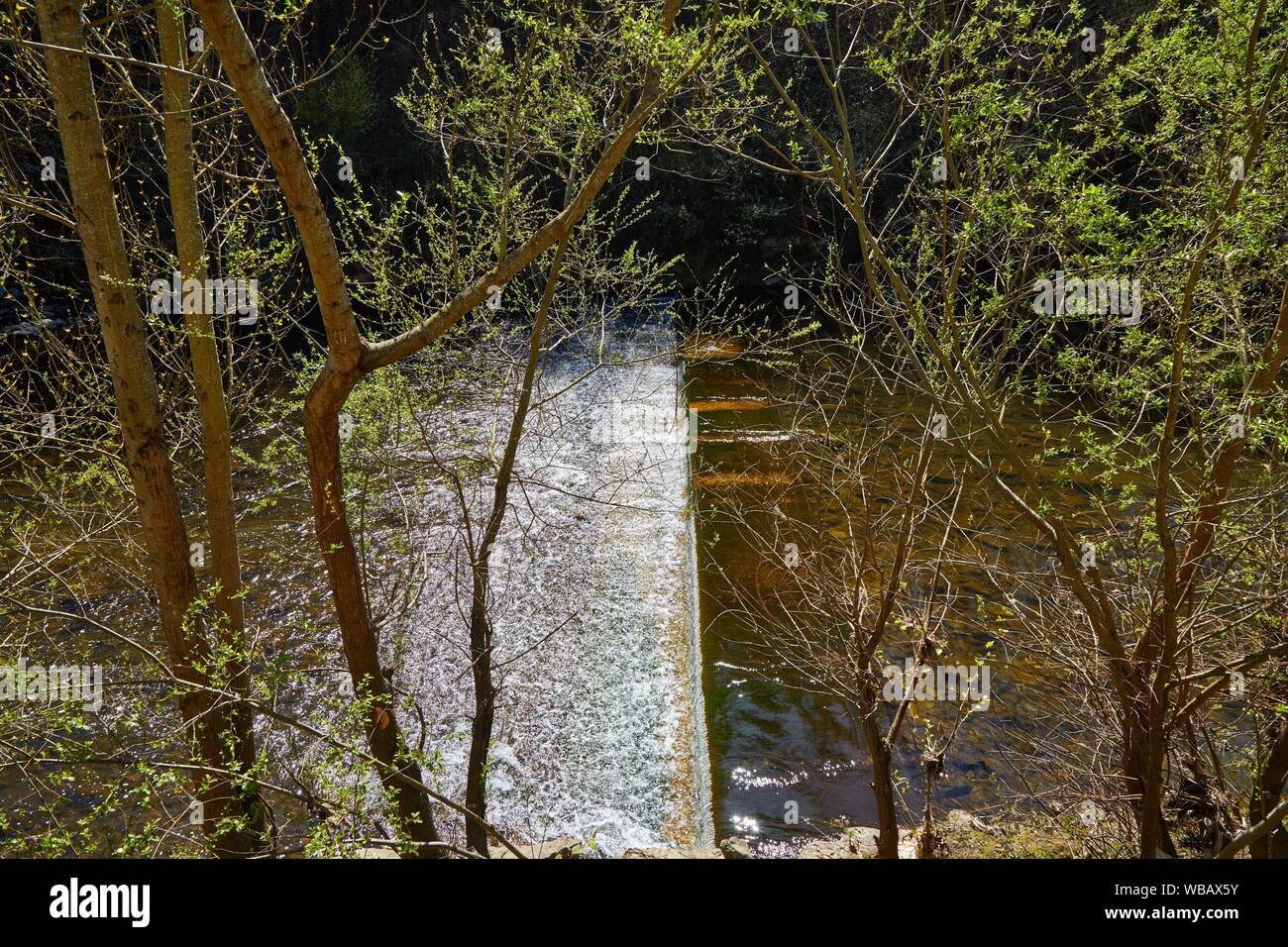 Alegria hi-res stock photography and images - Alamy