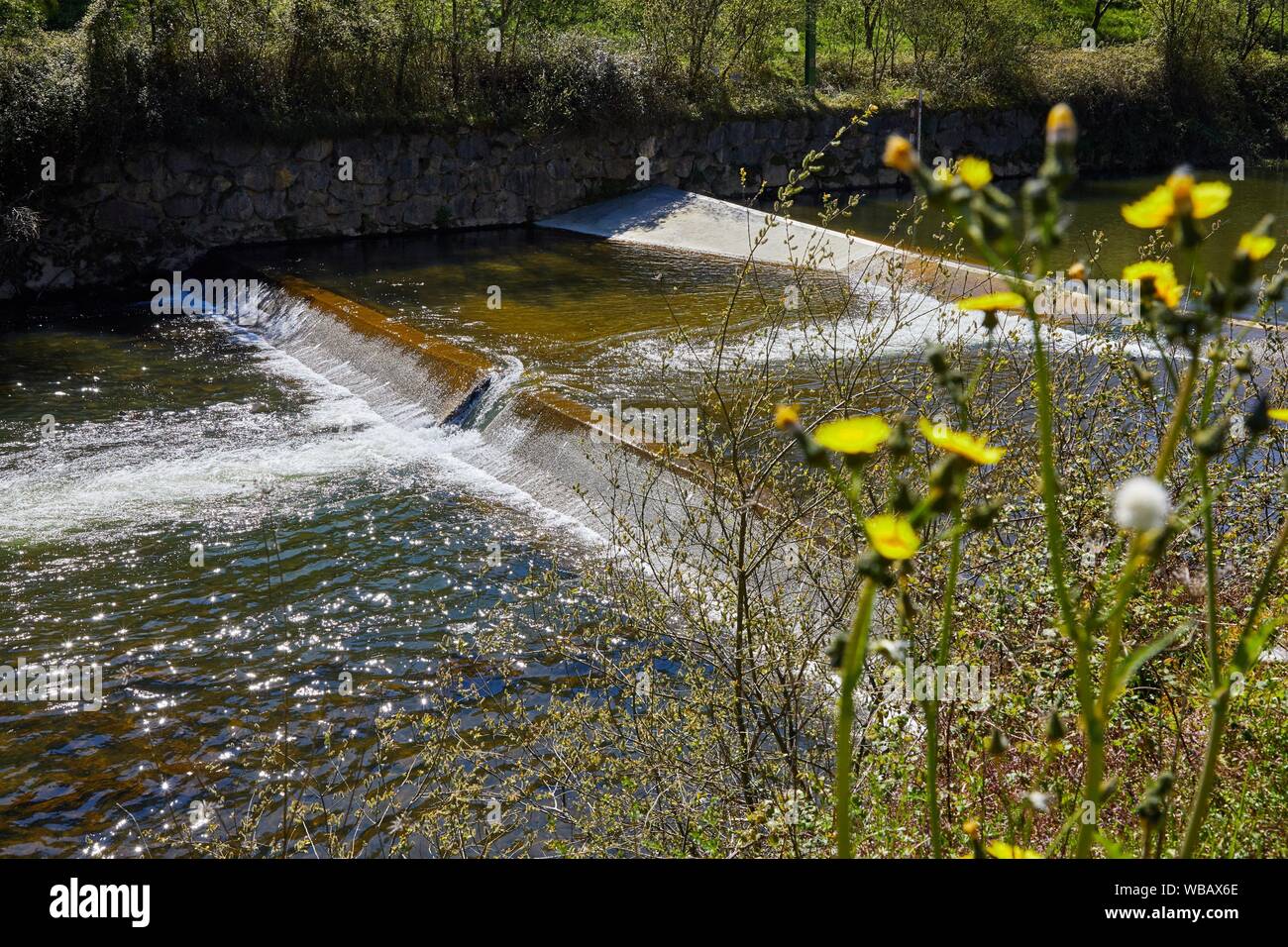 Alegria hi-res stock photography and images - Alamy