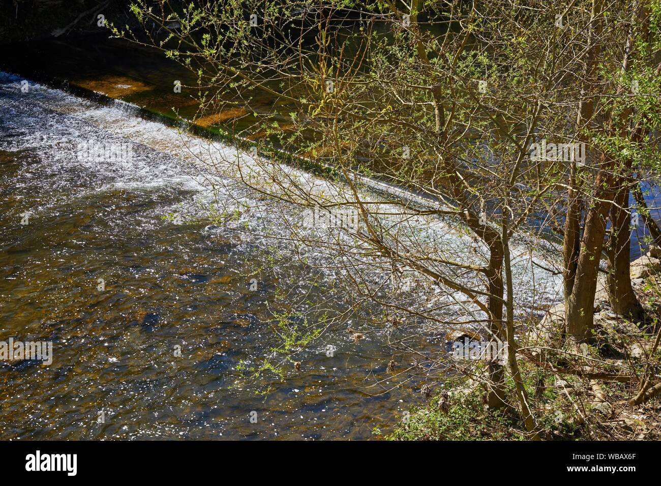 Alegria hi-res stock photography and images - Alamy