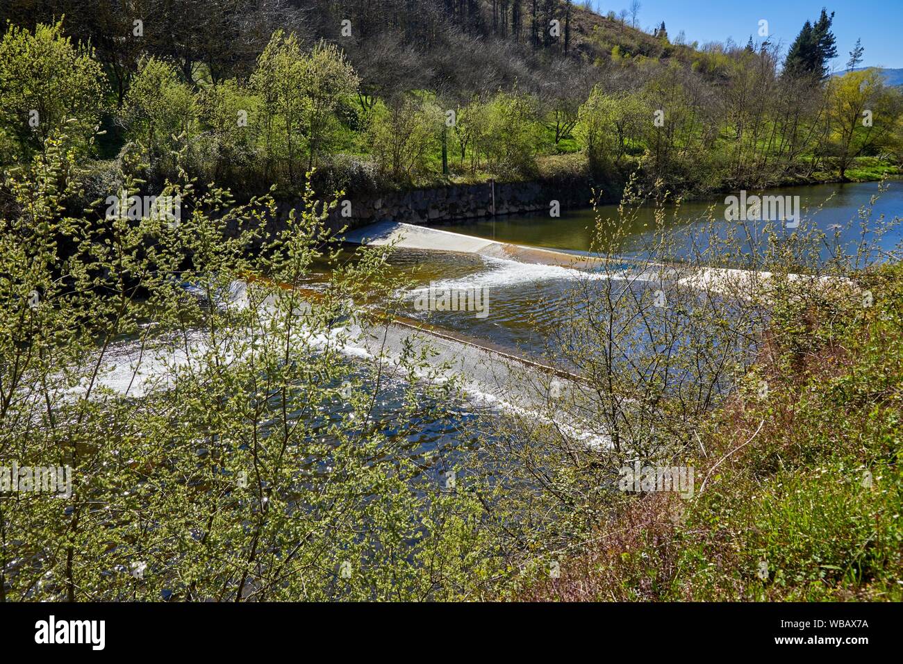 Alegria hi-res stock photography and images - Alamy