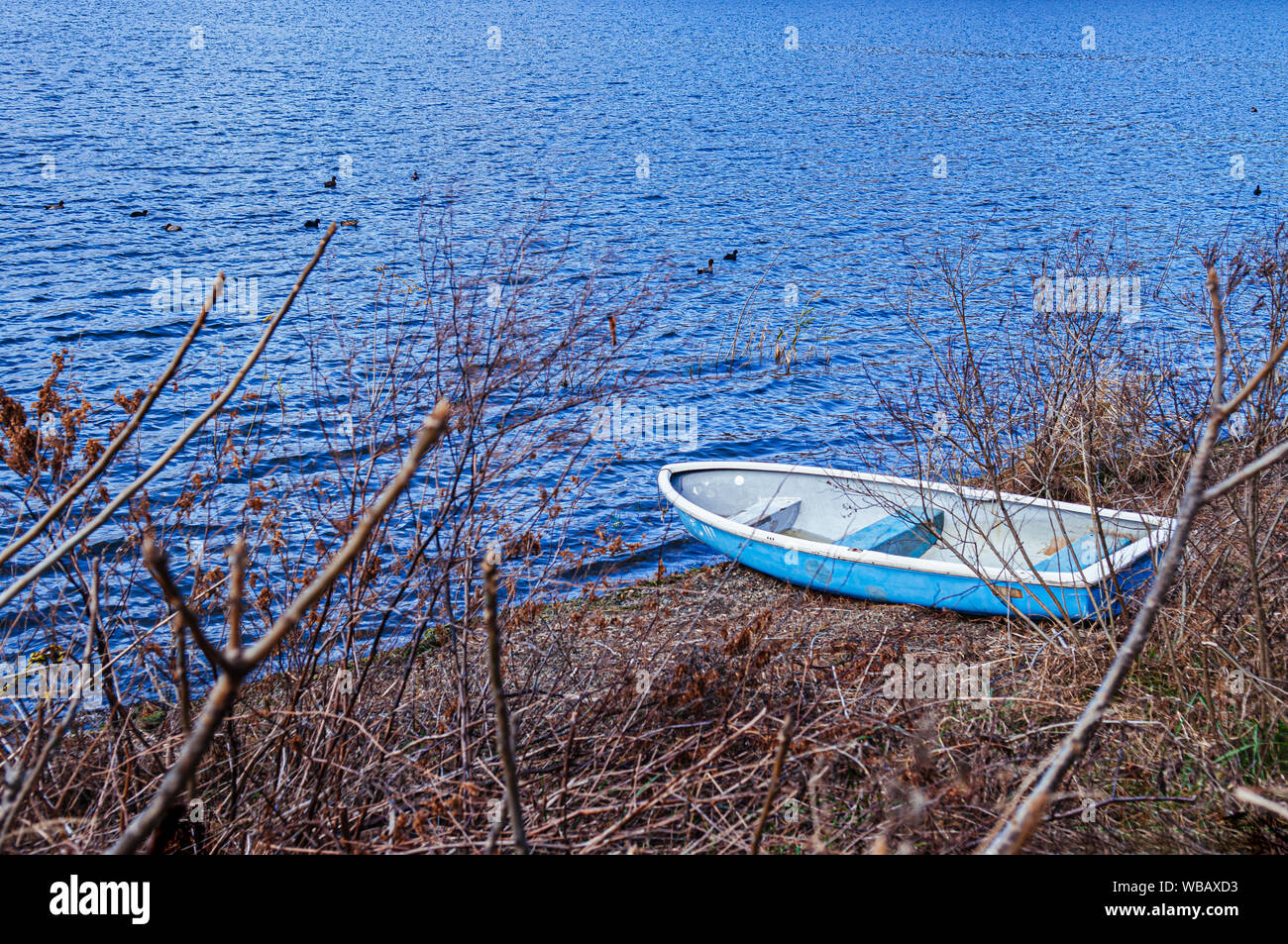 Old broken row boat were stranded stuck on Kawaguchiko lake shore with ...