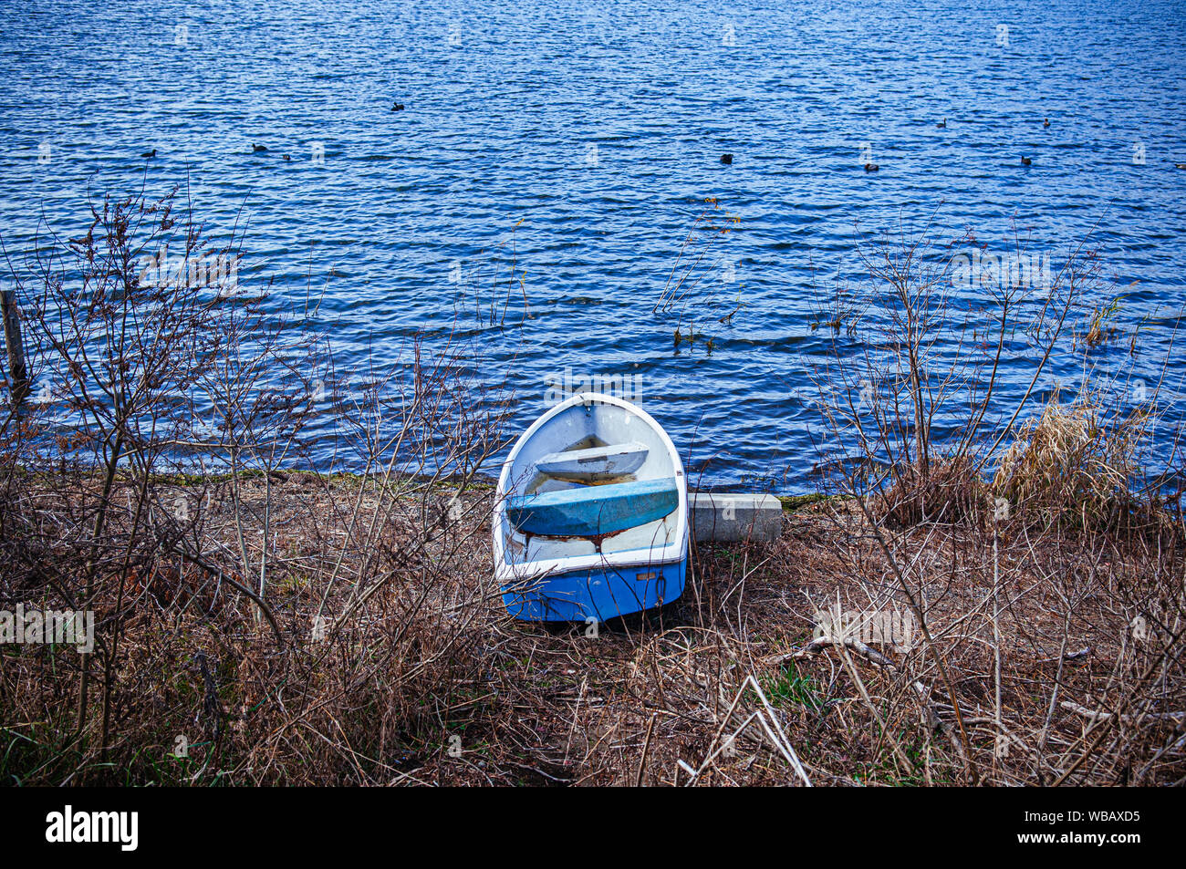 Old broken row boat were stranded stuck on Kawaguchiko lake shore with ...