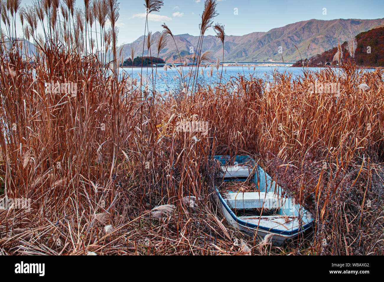 Old broken row boat were stranded stuck on Kawaguchiko lake shore ...