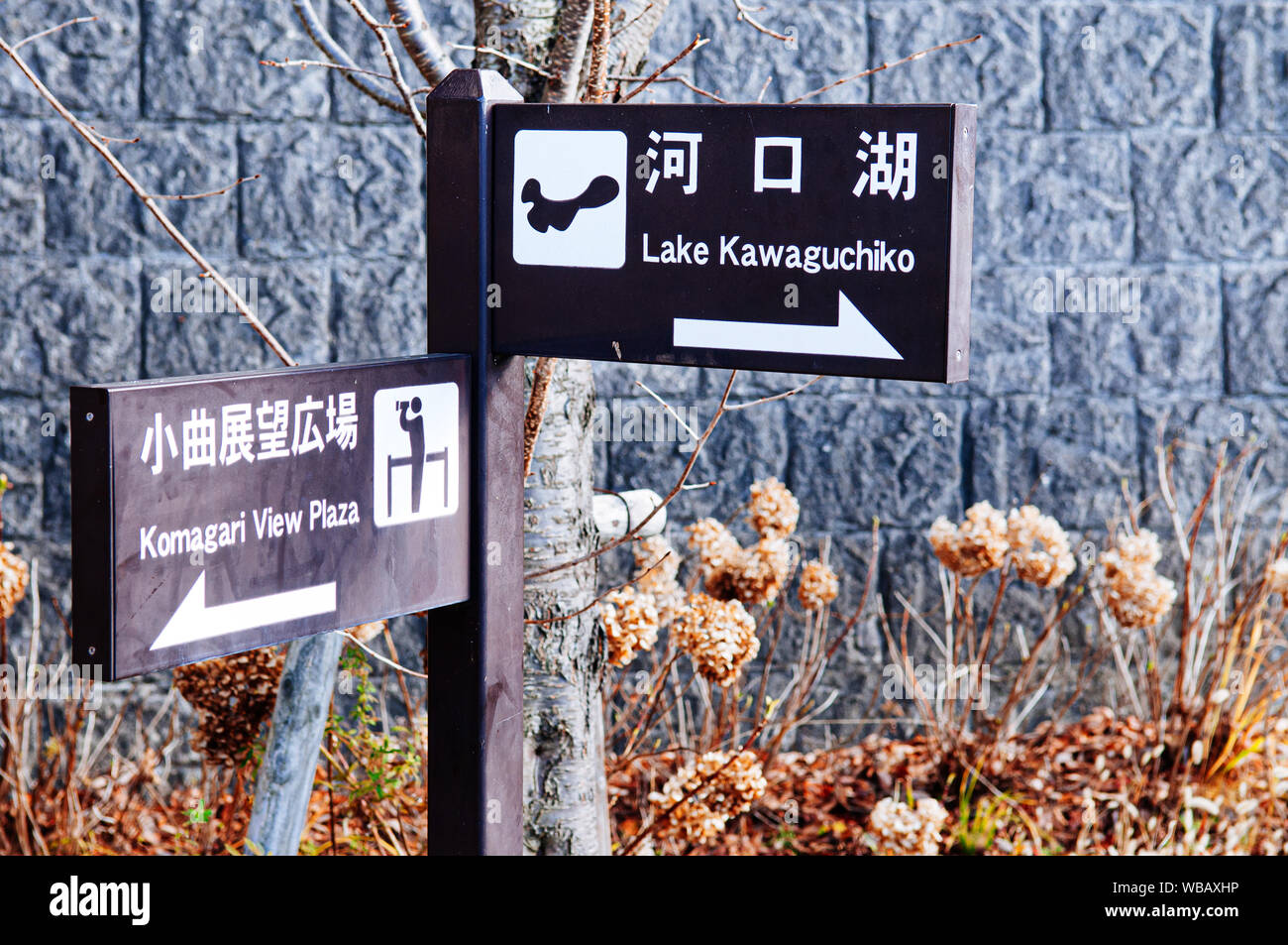 NOV 30, 2018 Kawaguchiko, Japan - Lake Kawaguchiko and Komagari View ...