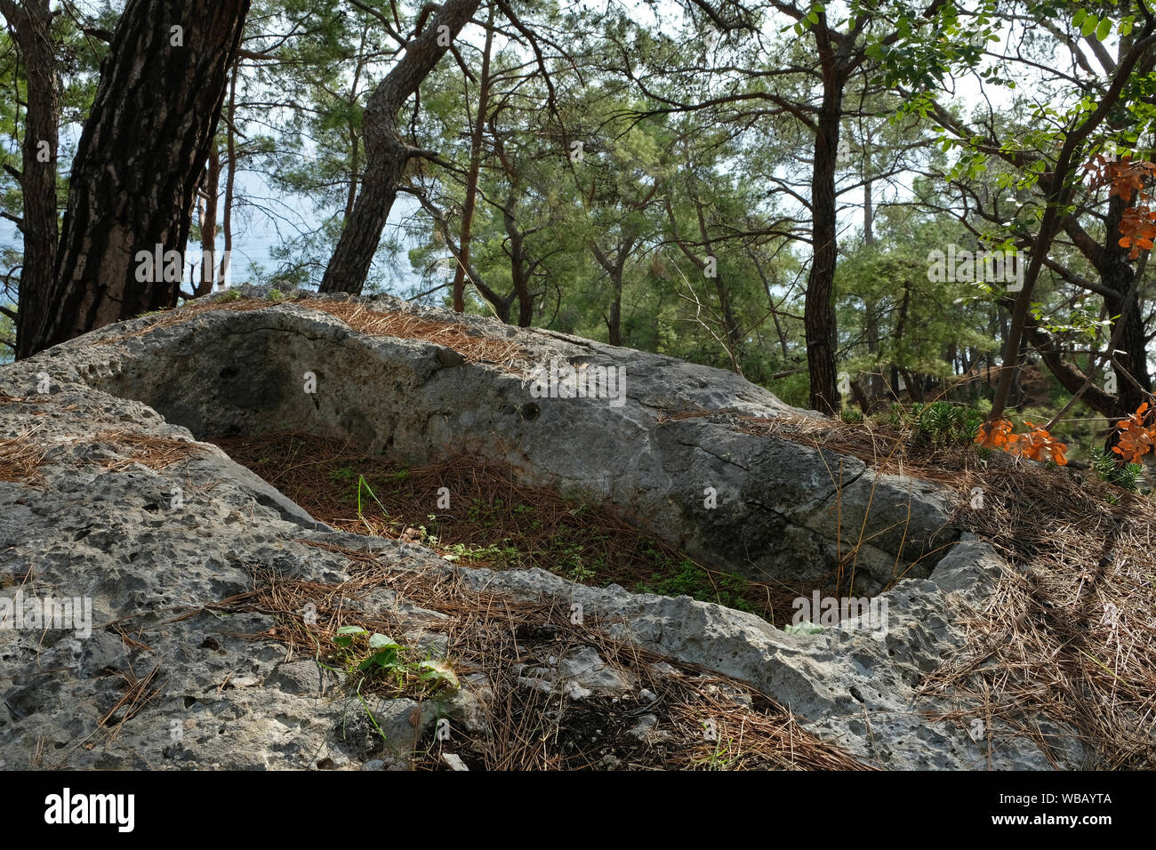 Rock carved tombs turkey hi-res stock photography and images - Alamy