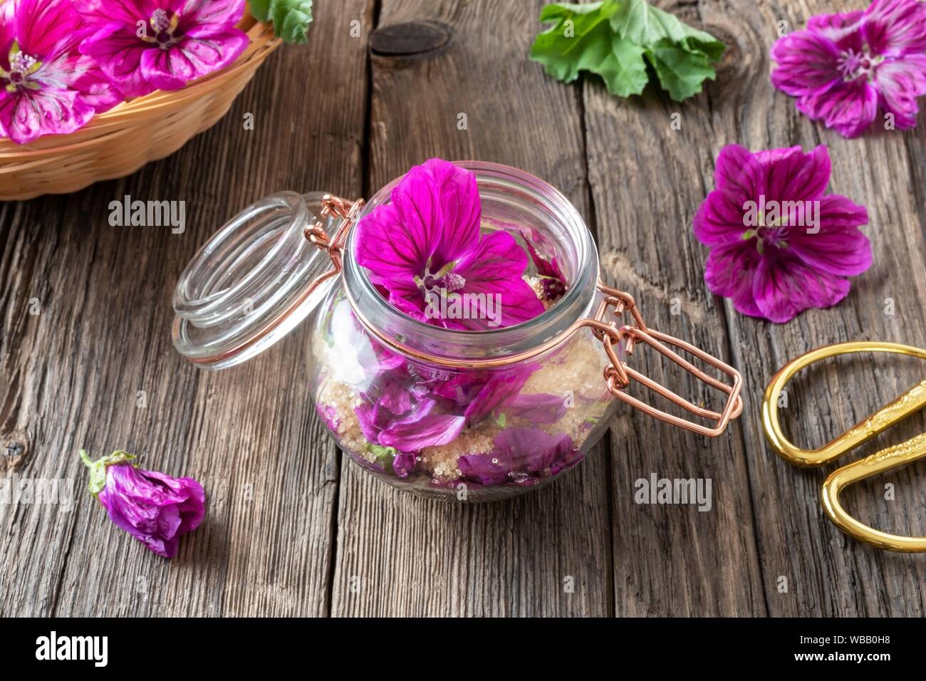 Malva sylvestris common mallow flowers hi-res stock photography and ...