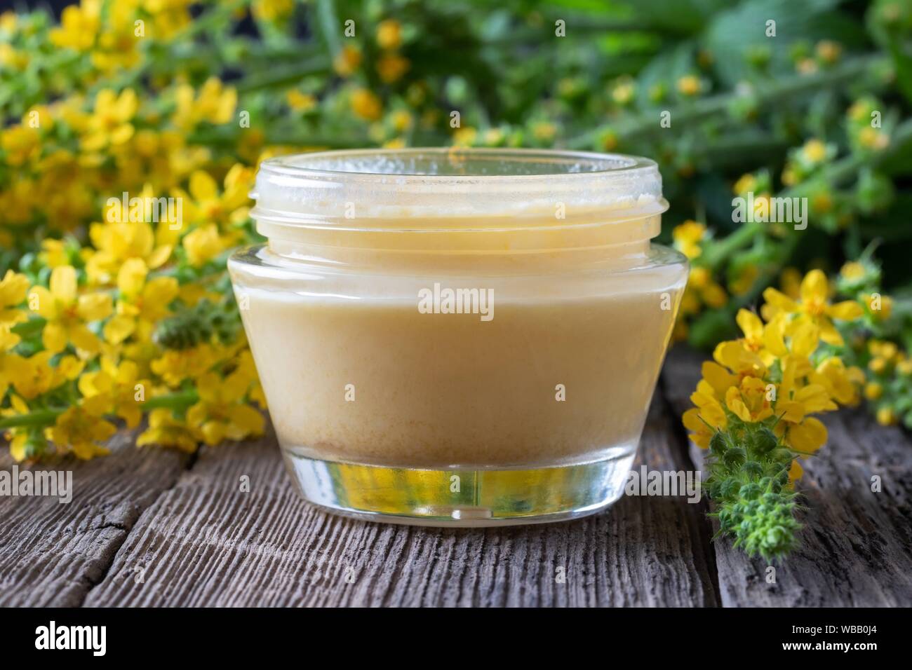 Shea Flower High Resolution Stock Photography and Images - Alamy