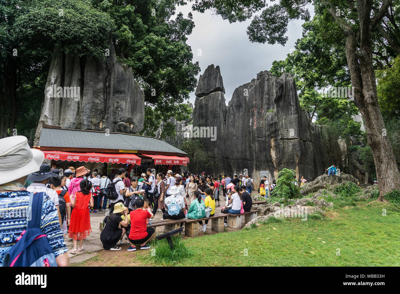 Visit to the Stone Forest, Kunming, Yunnan province, China. Limestone ...