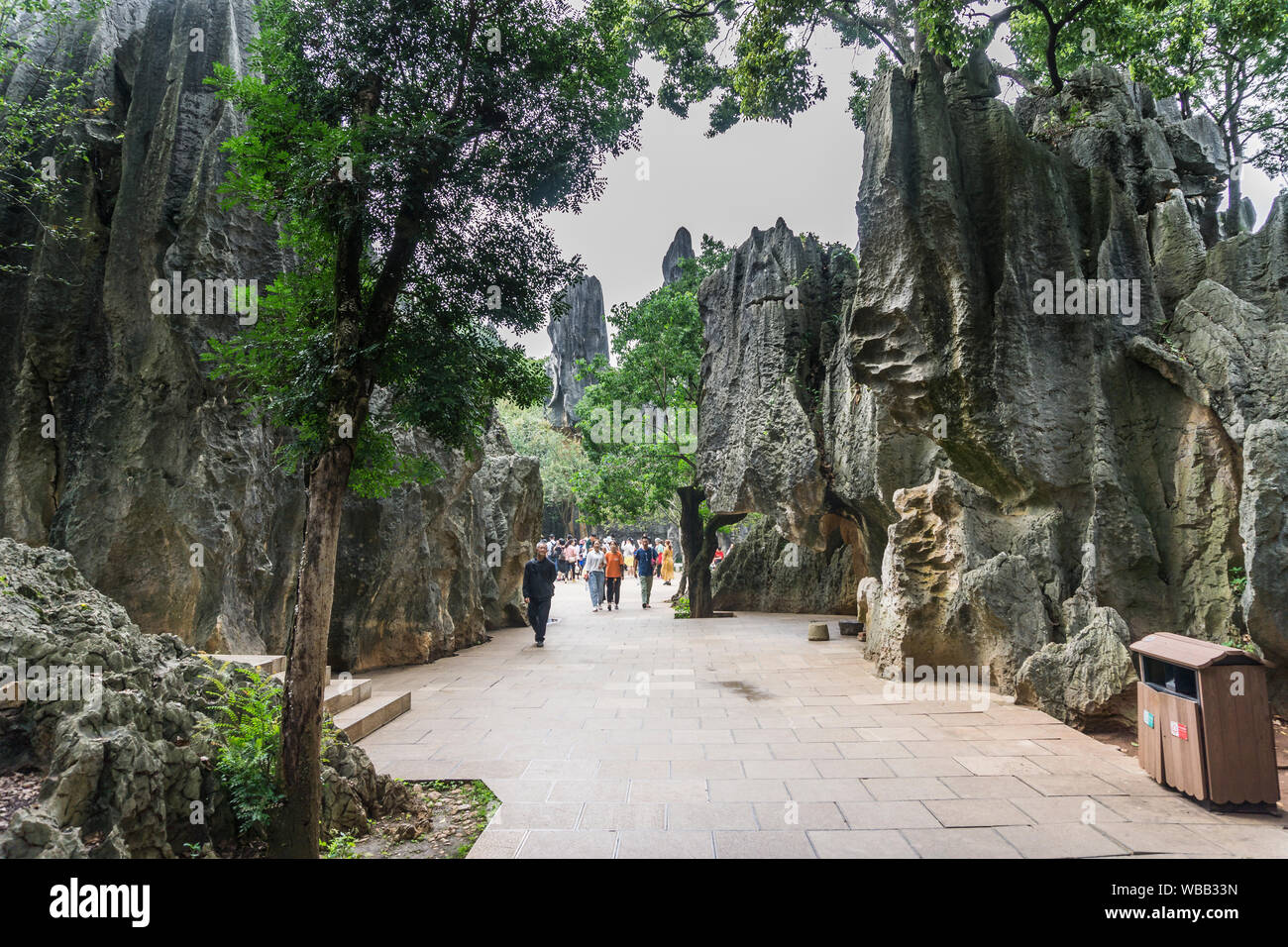 Visit to the Stone Forest, Kunming, Yunnan province, China. Limestone ...